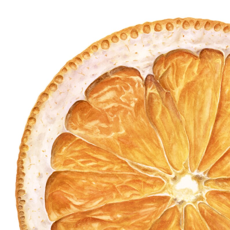 Fruit Poster of the Dried Orange Slice, Burnt Orange Print, Citrus Art ...