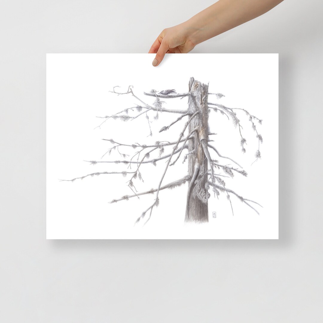 Botanical Poster of Tree Painting Watercolor Tree Print - Etsy