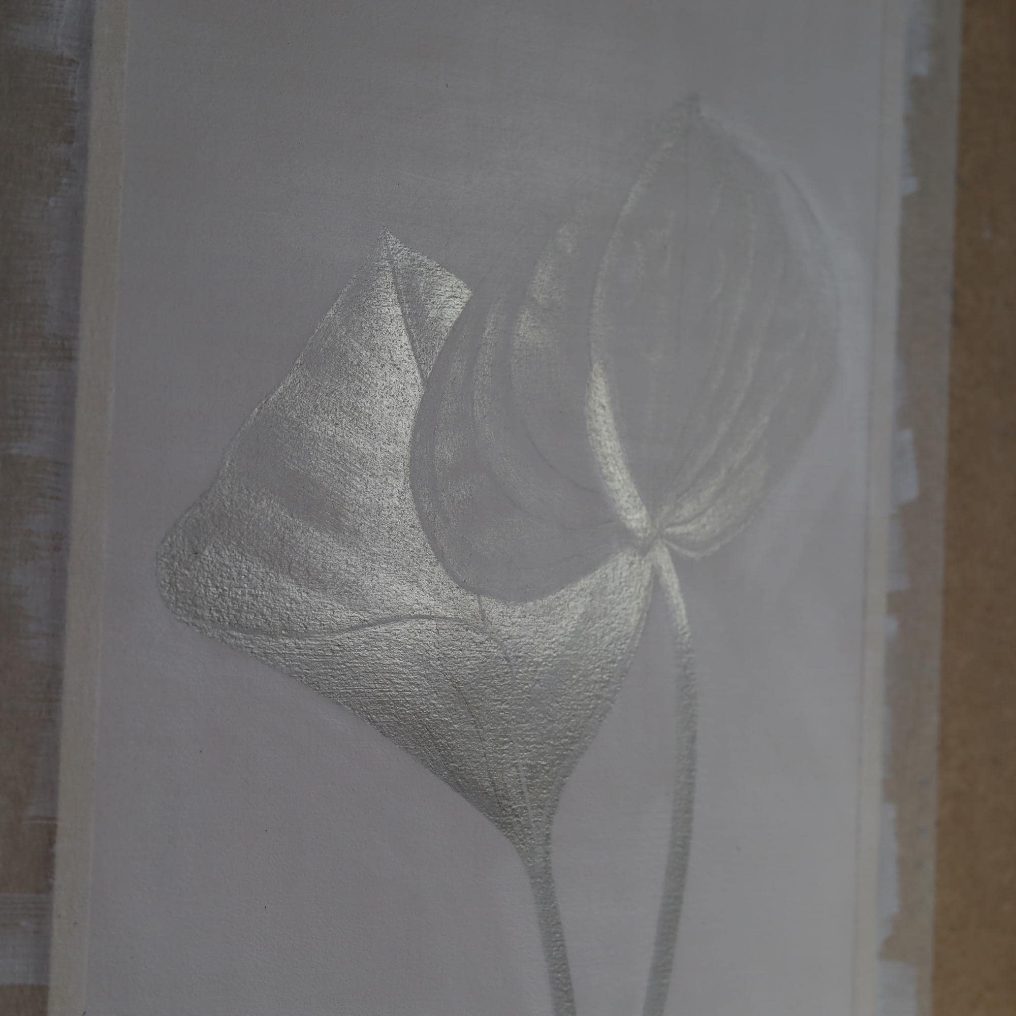 Original Silver Drawing of Anthurium Flower, Silverpoint Artwork ...