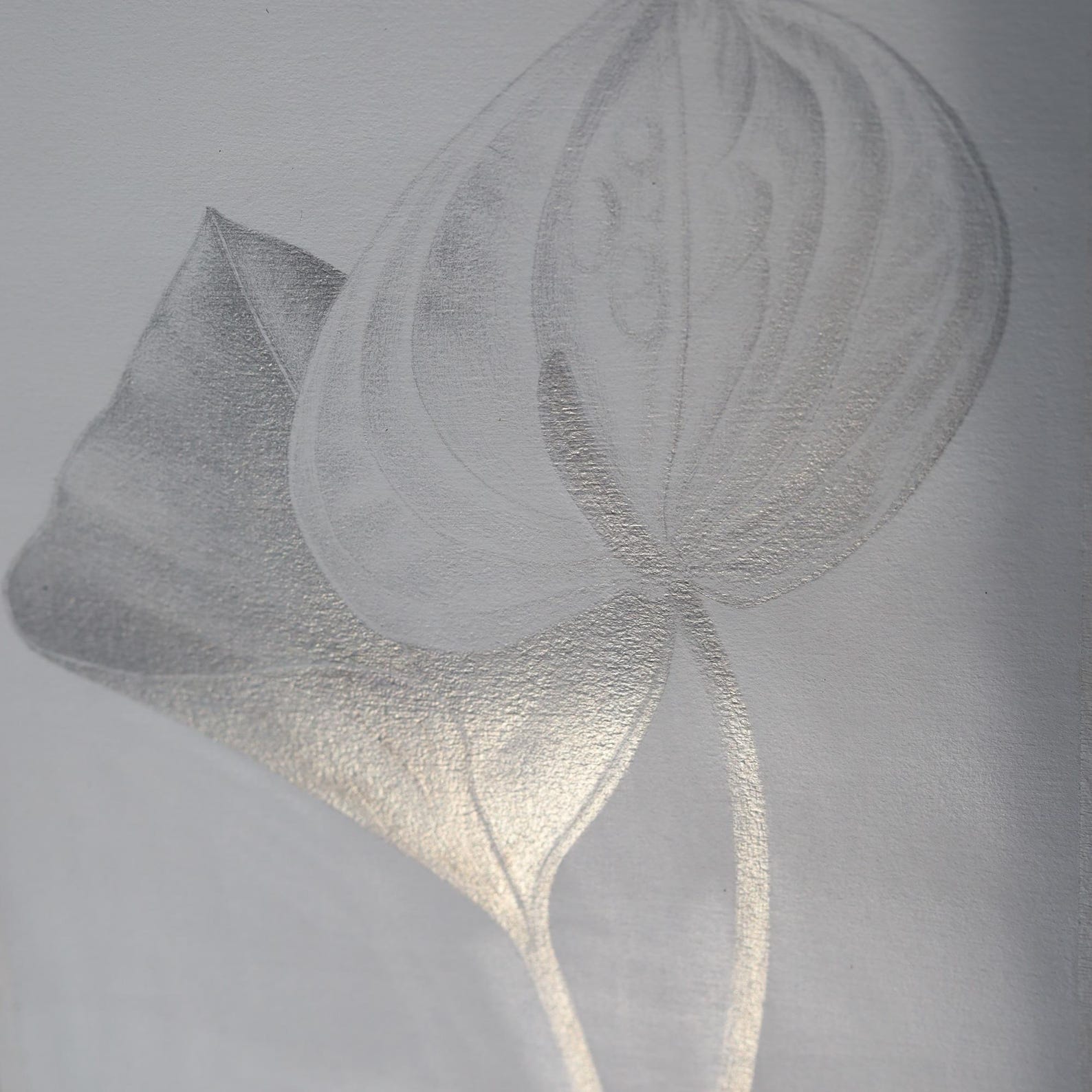 Original Silver Drawing of Anthurium Flower, Silverpoint Artwork ...