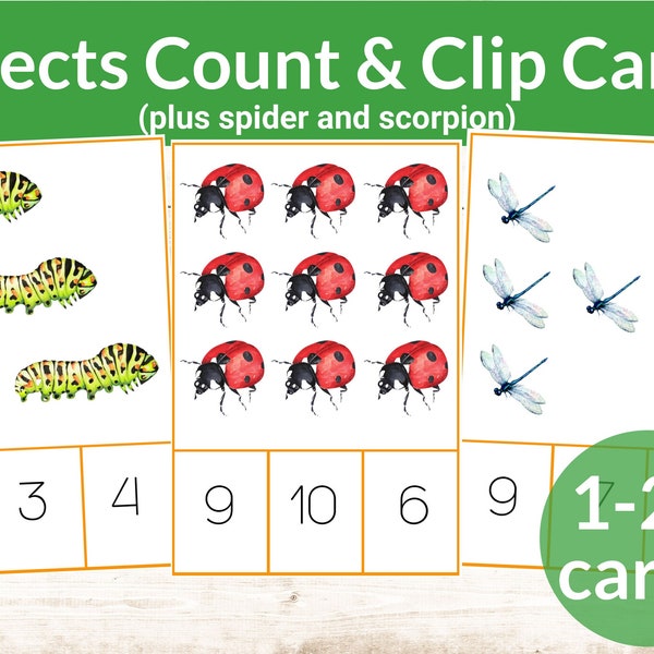 Bugs Activity Cards - Etsy