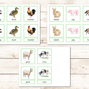 Farm Animals Montessori Printable Vocabulary 3 Part Cards. Nomenclature ...