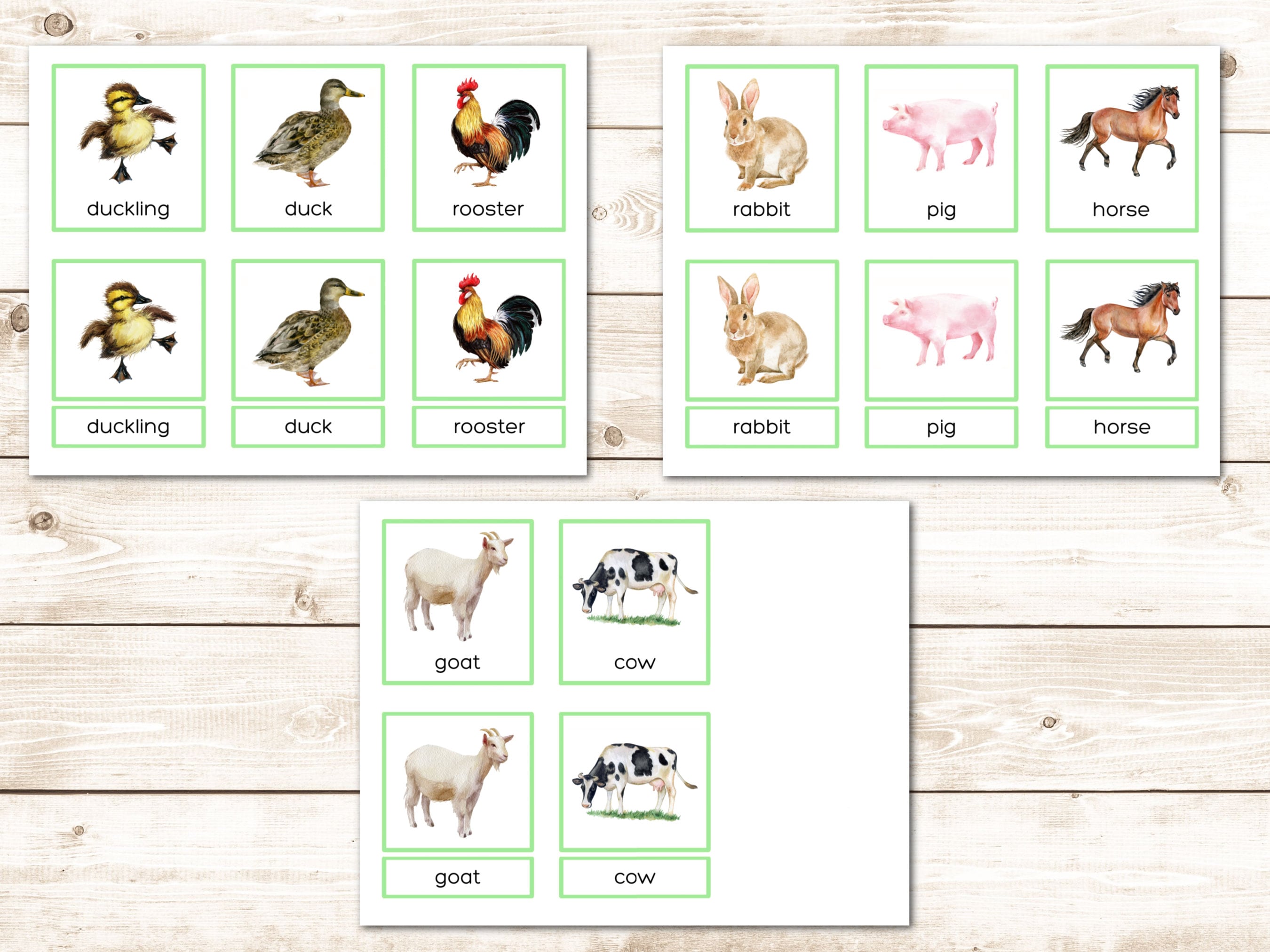 Farm Animals Montessori Printable Vocabulary 3 Part Cards. Nomenclature ...