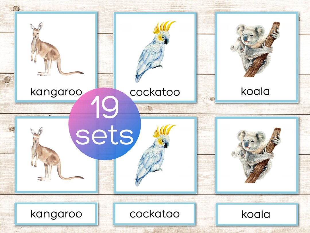 Australia Oceania Animals Montessori Printable Vocabulary 3 Part Cards ...