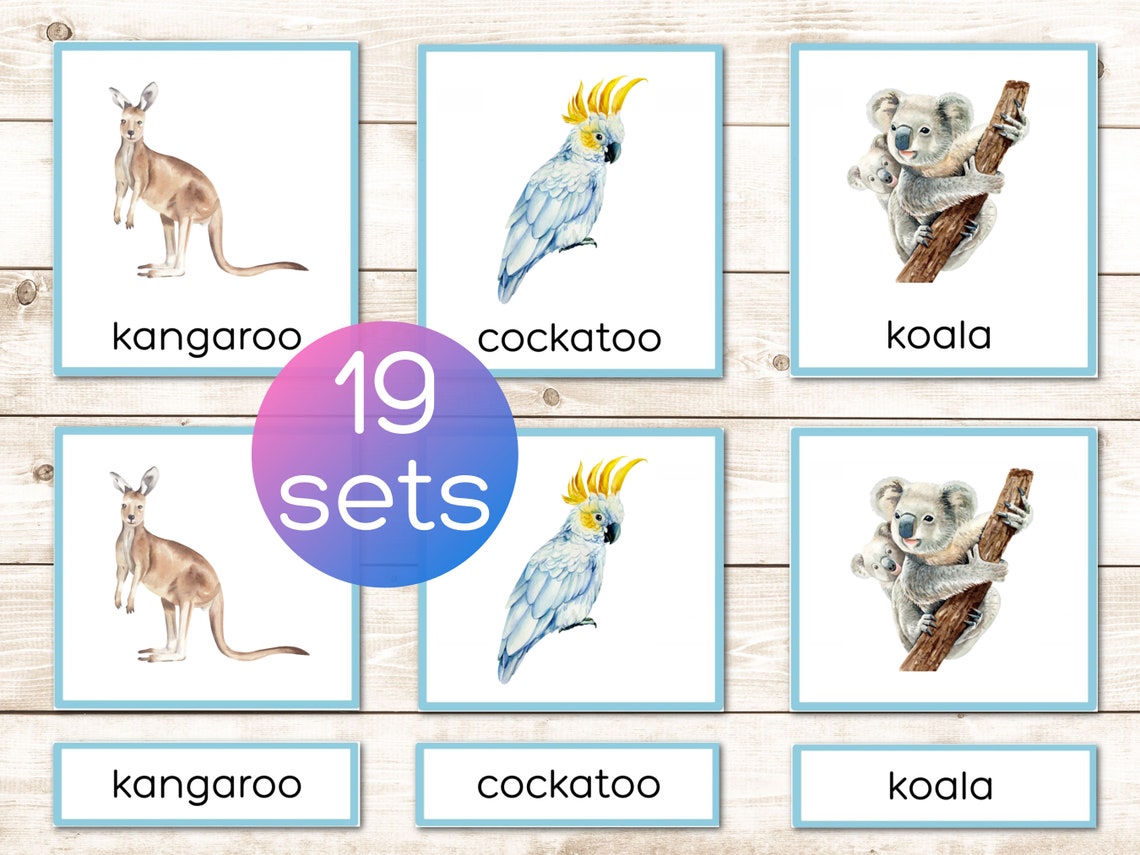 Australia Oceania Animals Montessori Printable Vocabulary 3 Part Cards ...