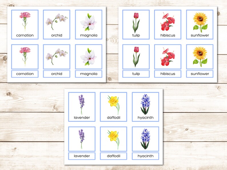 Flowers Montessori Printable Vocabulary 3 Part Cards. Nomenclature ...