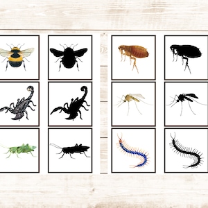Insects Bugs Shadow Matching Cards. Montessori Toddler Printable ...
