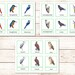 Birds Montessori Printable Vocabulary 3 Part Cards. Nomenclature Cards ...