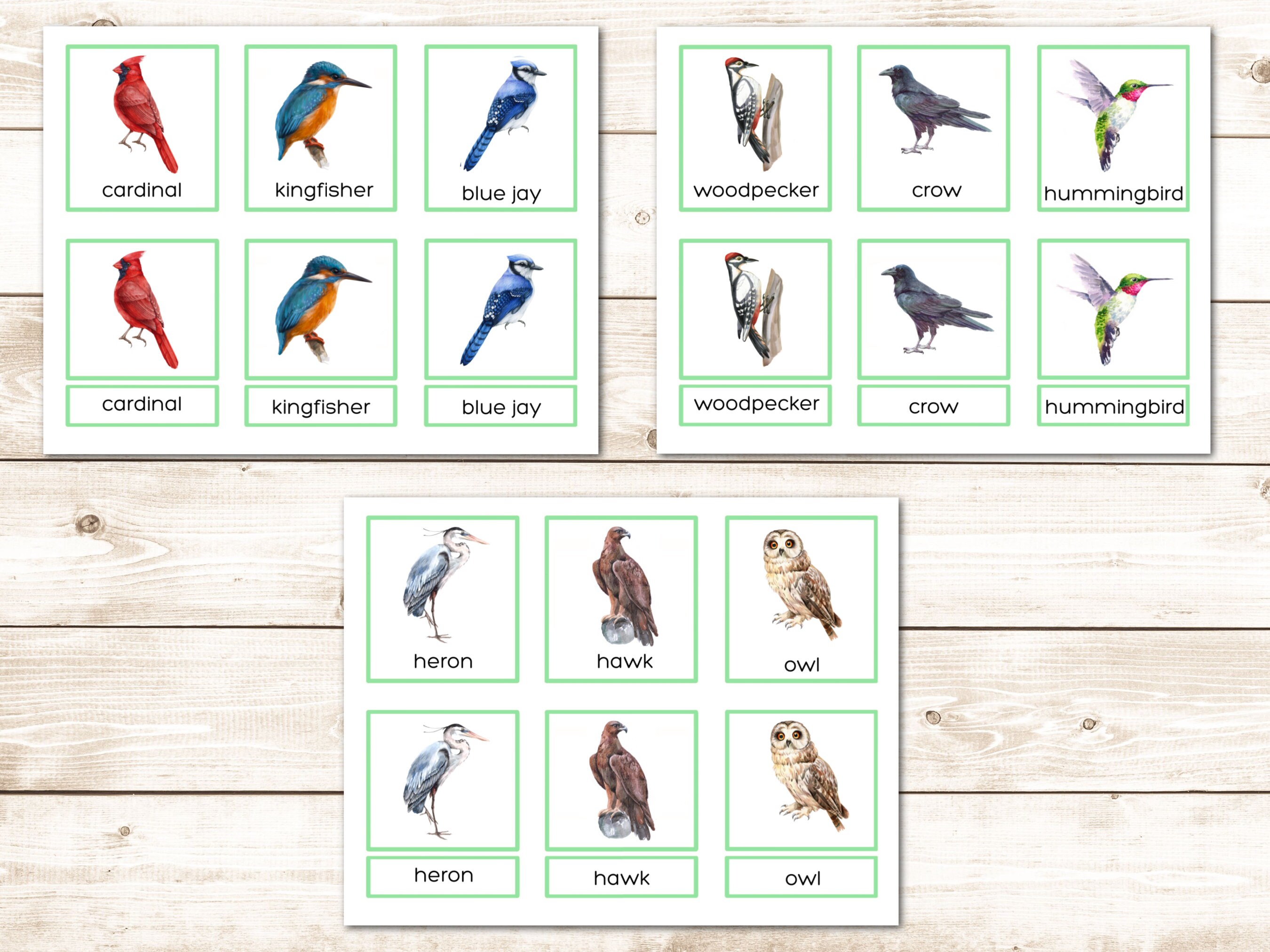 Birds Montessori Printable Vocabulary 3 Part Cards. Nomenclature Cards ...
