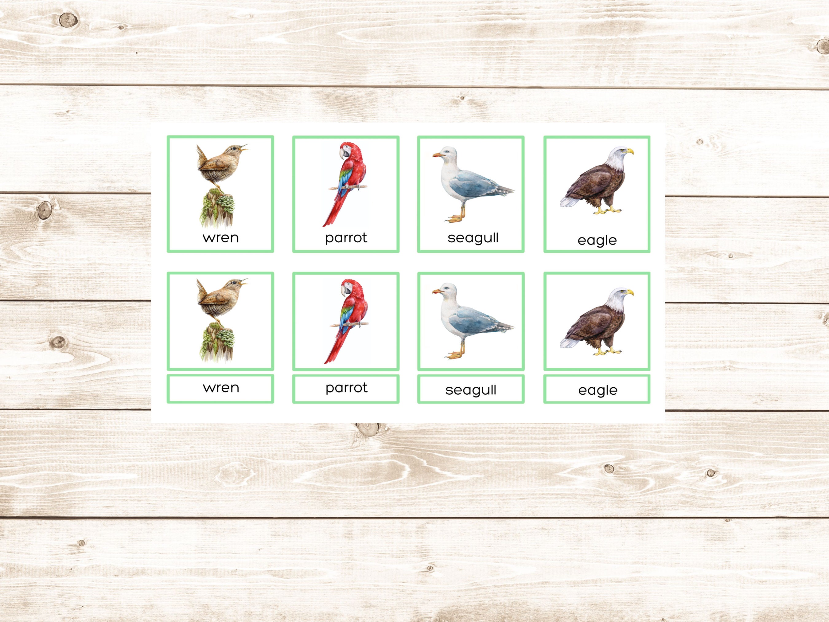 Birds Montessori Printable Vocabulary 3 Part Cards. Nomenclature Cards ...
