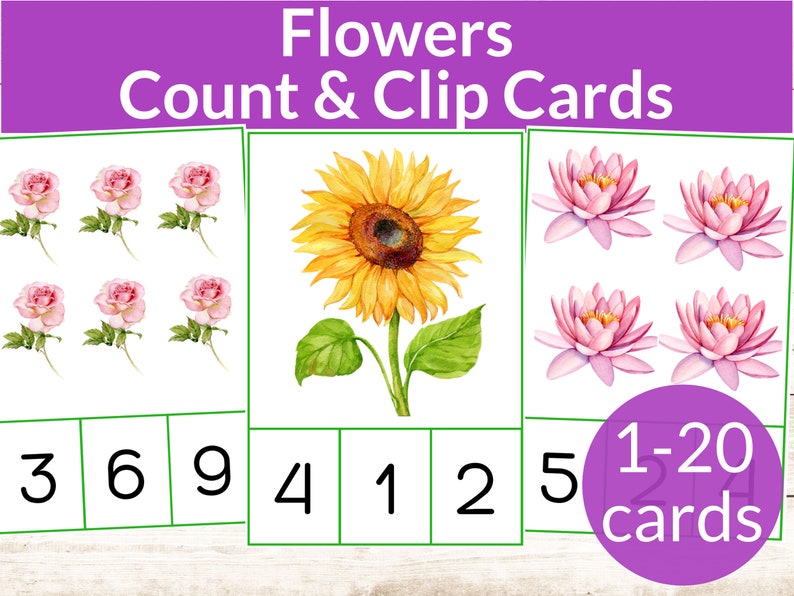 Flowers Montessori Count & Clip Cards. Preschool and Kindergarten Math ...