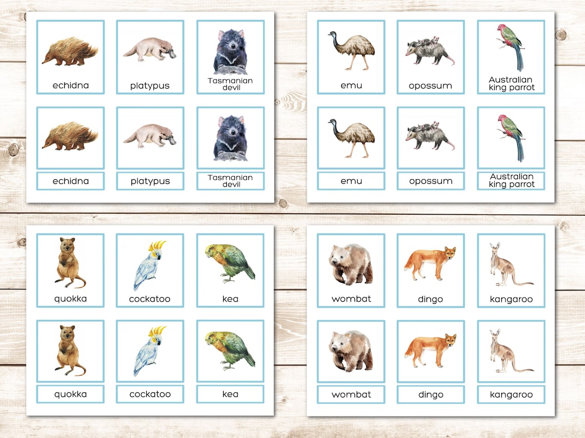 Australia Oceania Animals Montessori Printable Vocabulary 3 Part Cards ...