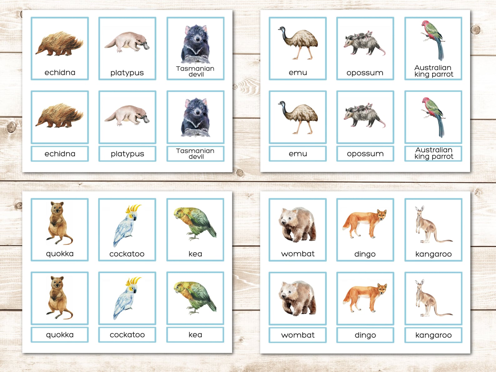 Australia Oceania Animals Montessori Printable Vocabulary 3 Part Cards ...