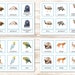 Australia Oceania Animals Montessori Printable Vocabulary 3 Part Cards ...