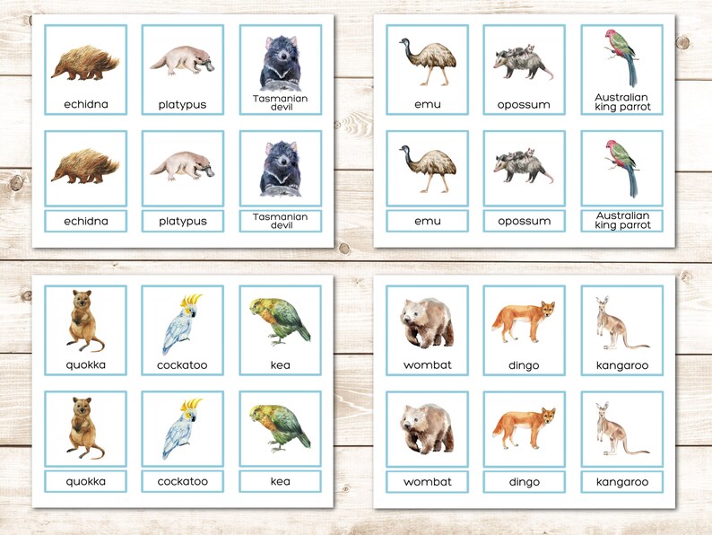 Australia Oceania Animals Montessori Printable Vocabulary 3 Part Cards ...