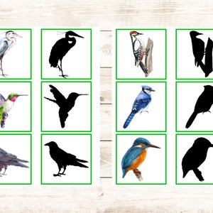 Birds Shadow Matching Cards. Montessori Toddler Printable. Preschool ...