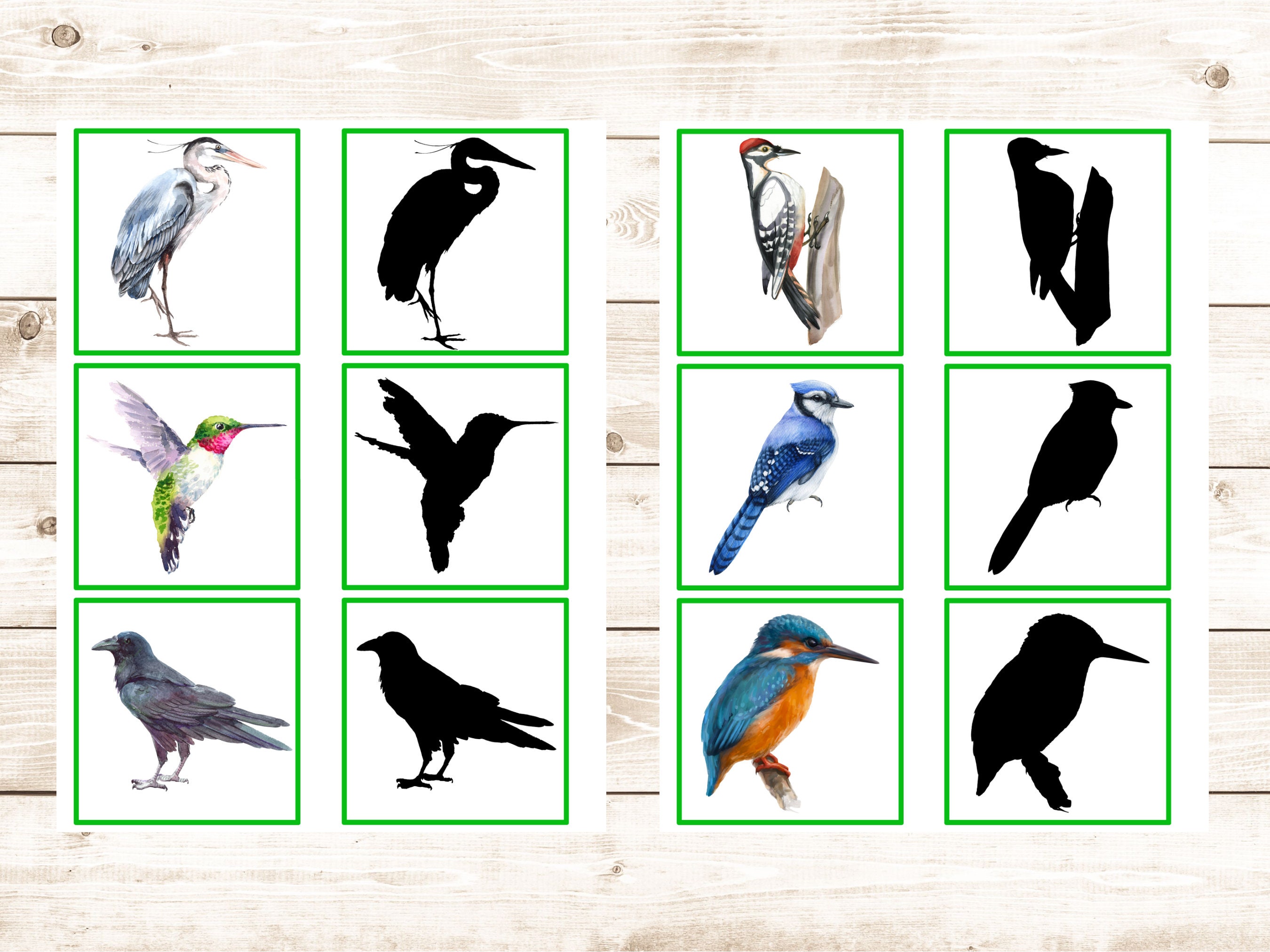 Birds Shadow Matching Cards. Montessori Toddler Printable. Preschool ...