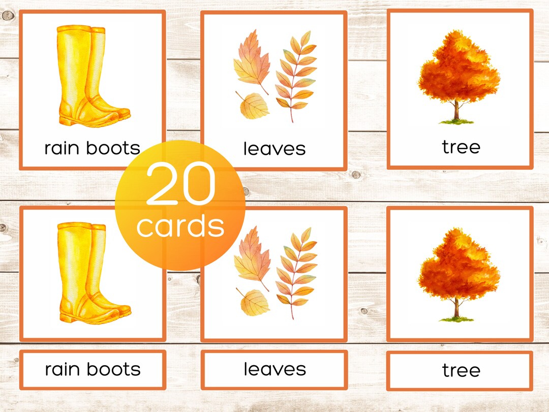 Fall Montessori Printable Vocabulary 3 Part Cards. Nomenclature Cards ...