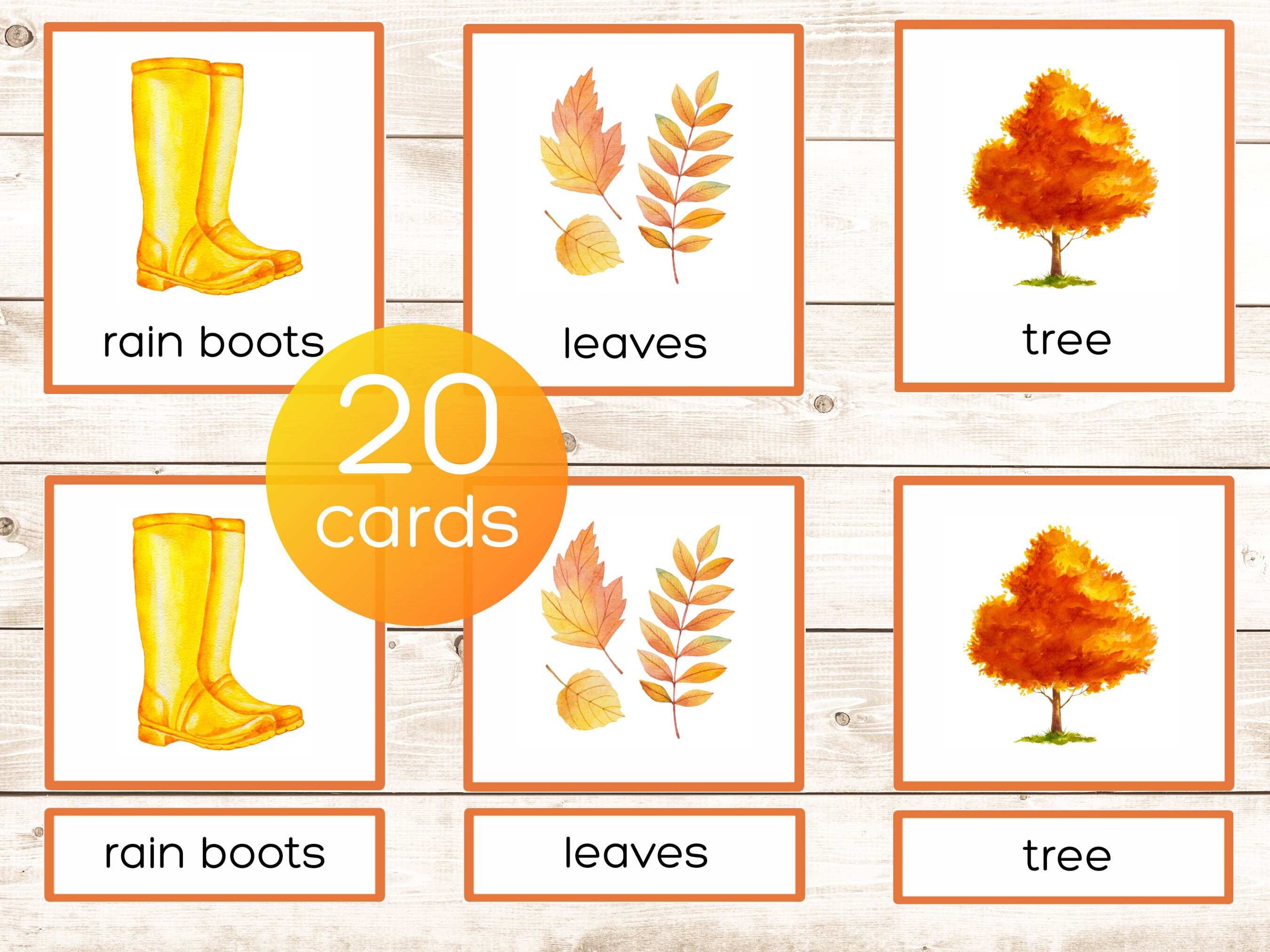 Fall Montessori Printable Vocabulary 3 Part Cards. Nomenclature Cards ...