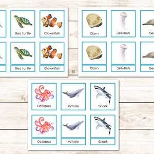 Ocean Animals Montessori Printable Vocabulary 3 Part Cards Nomenclature ...