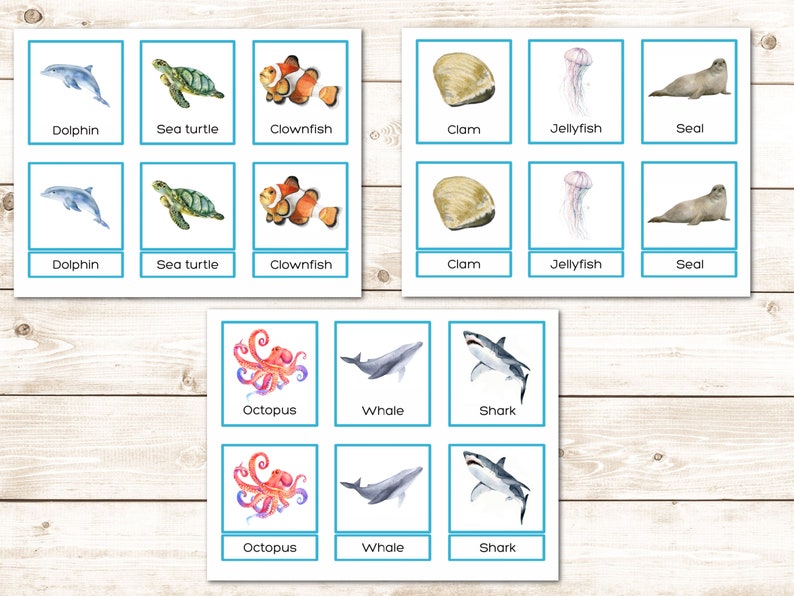 Ocean Animals Montessori Printable Vocabulary 3 Part Cards Nomenclature ...