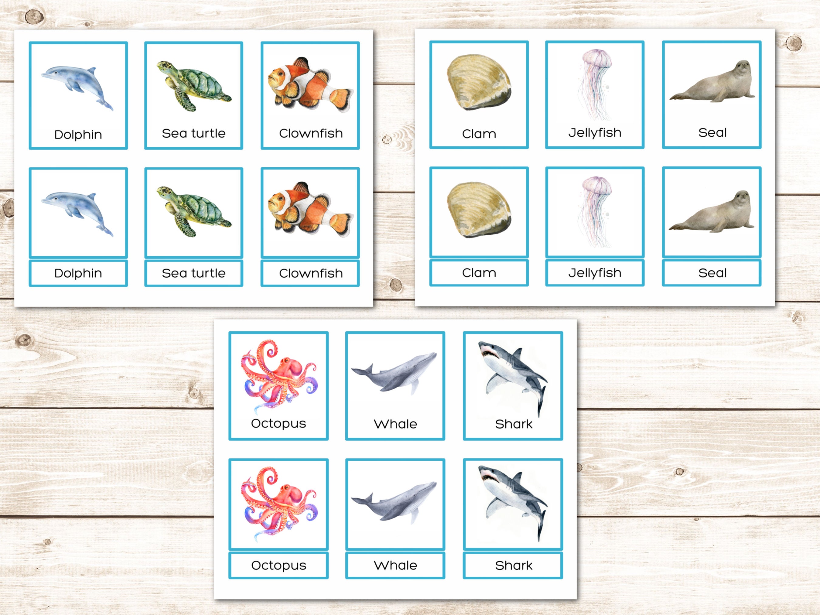 Ocean Animals Montessori Printable Vocabulary 3 Part Cards Nomenclature ...