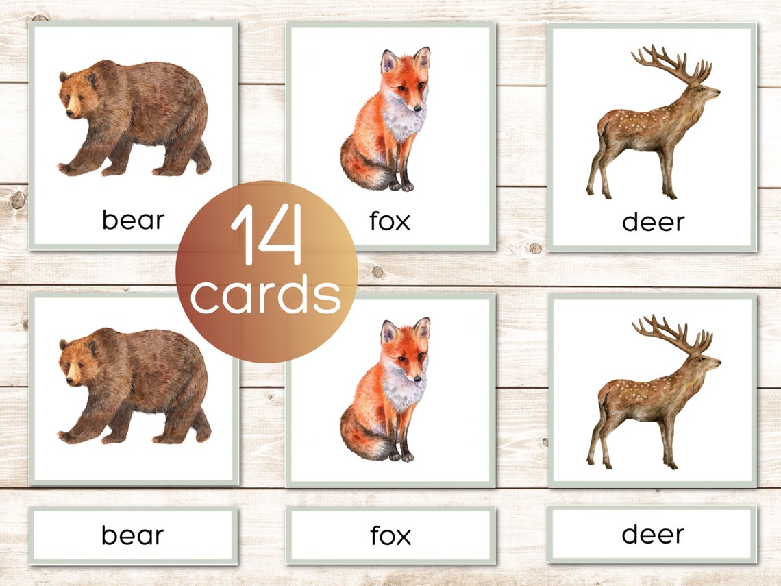 Woodland Animals Montessori Printable Vocabulary 3 Part Cards ...