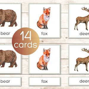 Woodland Animals Montessori Printable Vocabulary 3 Part Cards ...