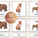 Woodland Animals Montessori Printable Vocabulary 3 Part Cards ...