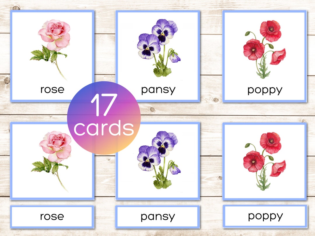 Flowers Montessori Printable Vocabulary 3 Part Cards. Nomenclature ...