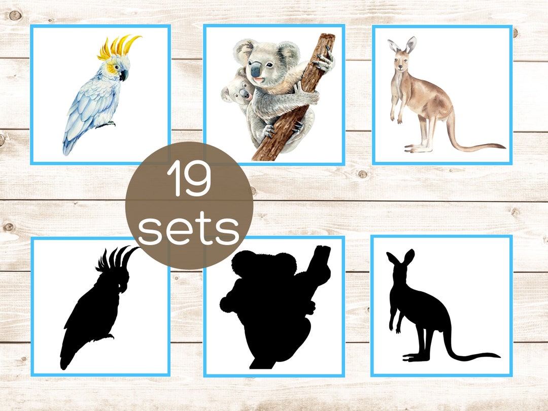 Australia Animals Shadow Matching Cards. Montessori Toddler Printable ...
