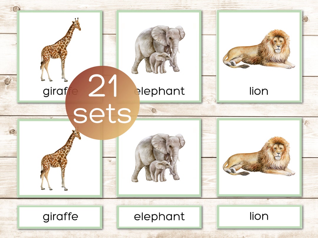 African Animals Montessori Printable Vocabulary 3 Part Cards Flash ...