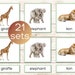 African Animals Montessori Printable Vocabulary 3 Part Cards Flash ...