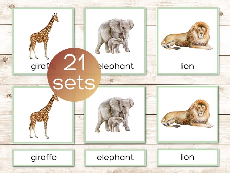 African Animals Montessori Printable Vocabulary 3 Part Cards Flash ...