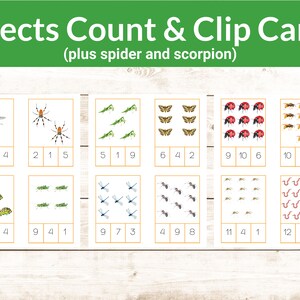 Insects Bugs Clip & Count Cards. Insects Bugs Unit Study. Preschool and ...