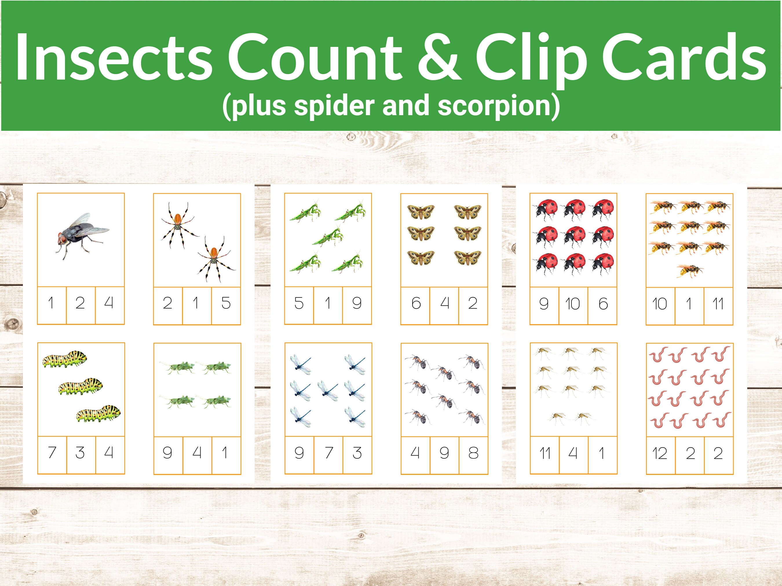 Insects Bugs Clip & Count Cards. Insects Bugs Unit Study. Preschool and ...