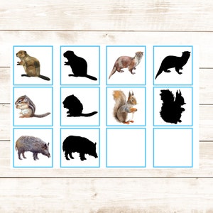 Woodland Animals Shadow Matching Cards. Montessori Toddler Printable ...