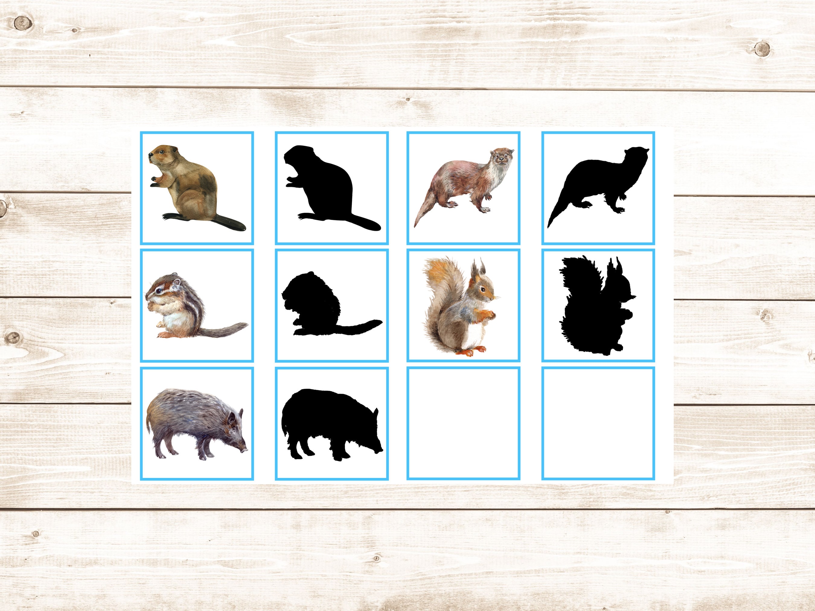 Woodland Animals Shadow Matching Cards. Montessori Toddler Printable ...