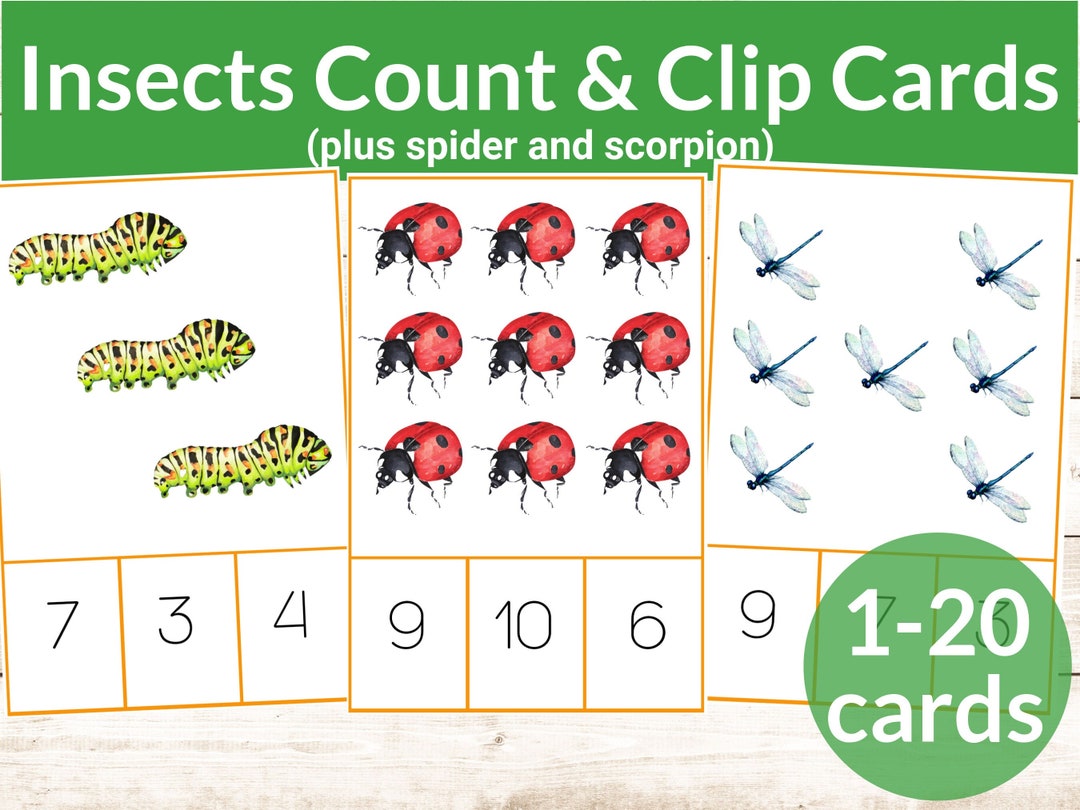 Insects Bugs Clip & Count Cards. Insects Bugs Unit Study. Preschool and ...