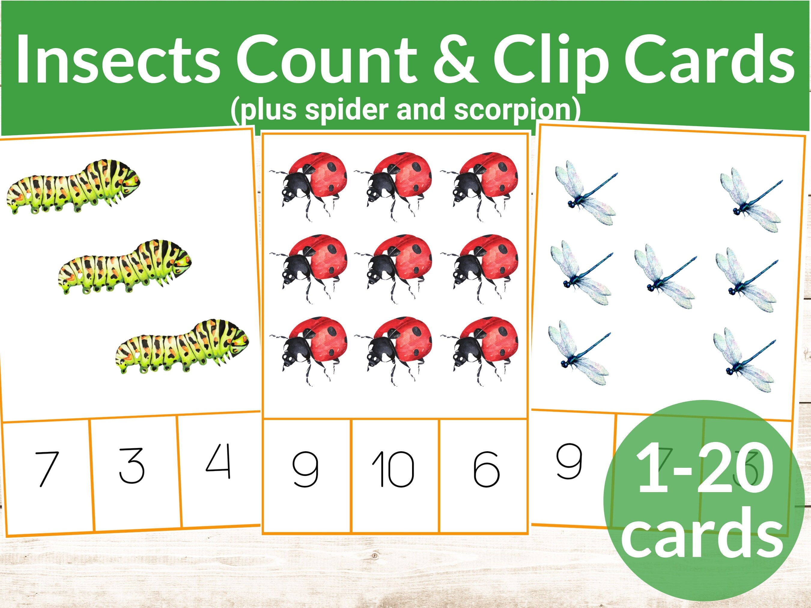 Insects Bugs Clip & Count Cards. Insects Bugs Unit Study. Preschool and ...