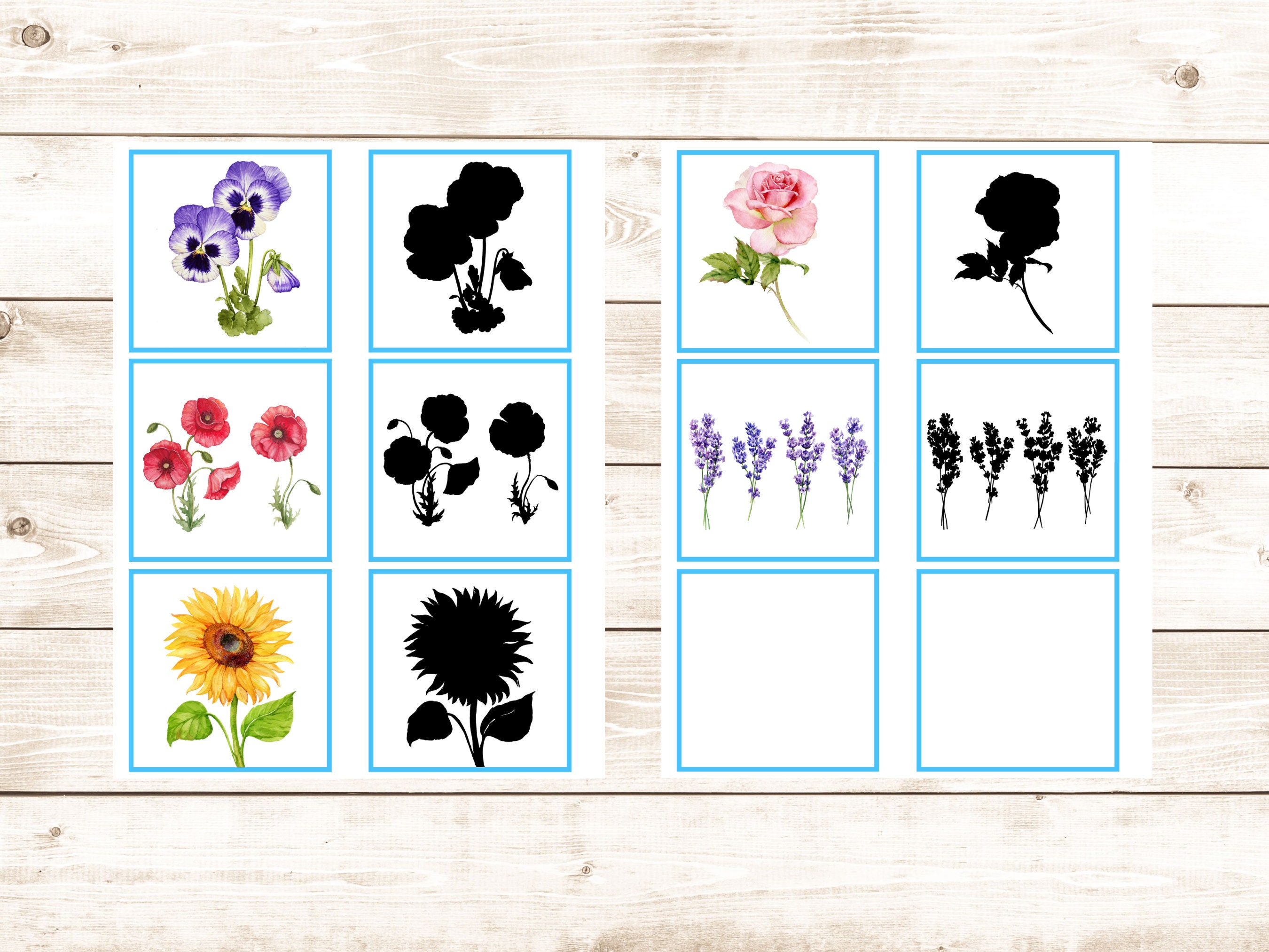 Flowers Shadow Matching Cards. Montessori Toddler Printable. Preschool ...