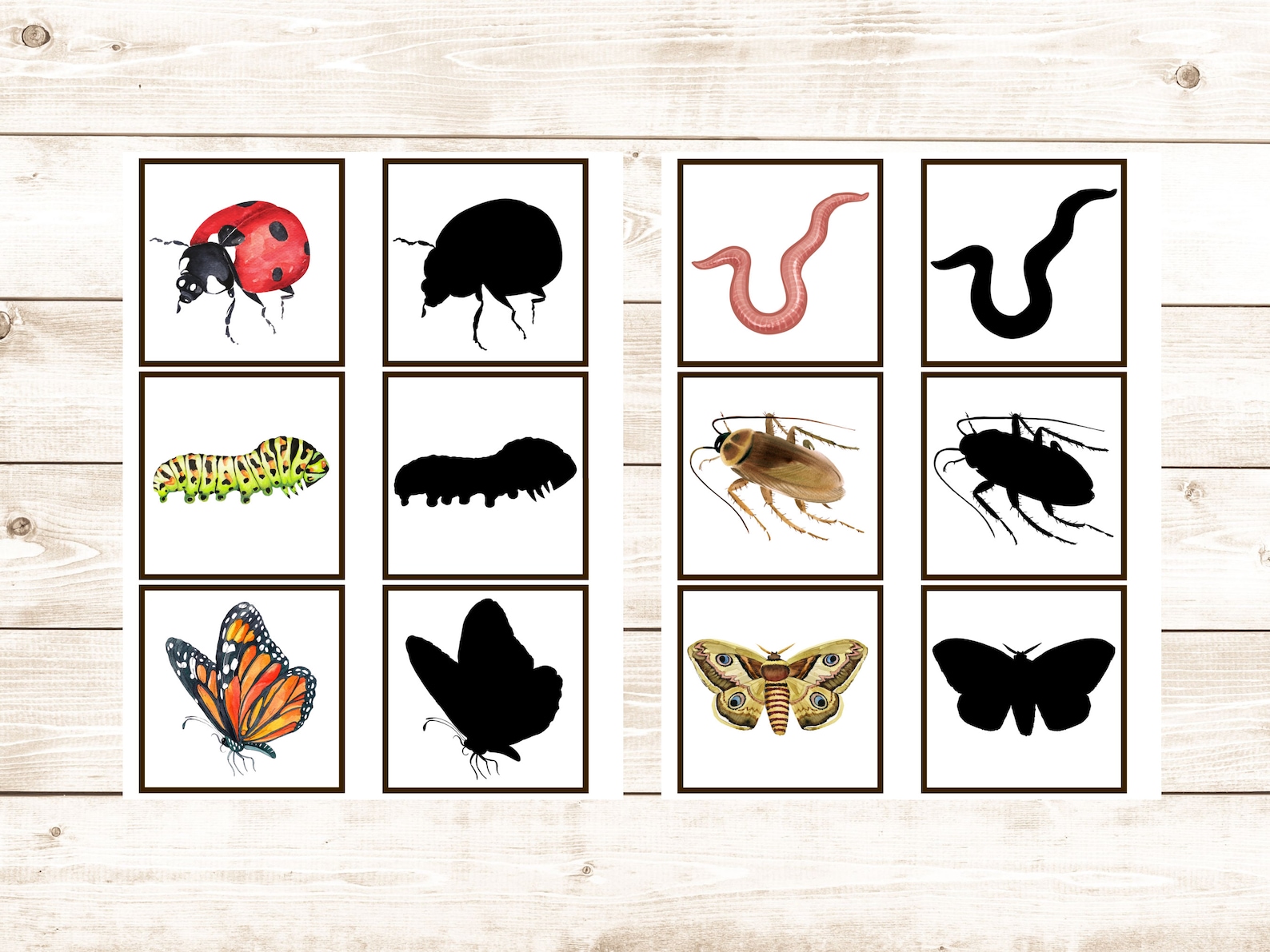 Insects Bugs Shadow Matching Cards. Montessori Toddler Printable ...