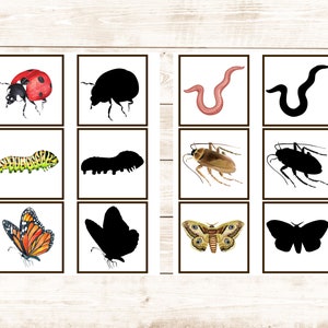Insects Bugs Shadow Matching Cards. Montessori Toddler Printable ...