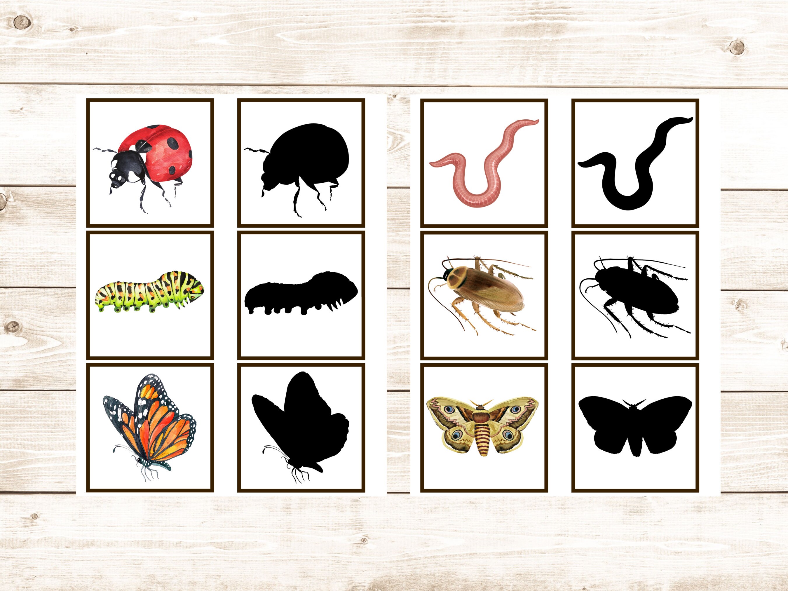 Insects Bugs Shadow Matching Cards. Montessori Toddler Printable ...