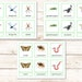 Insects and Spider Montessori Printable Vocabulary 3 Part Cards ...