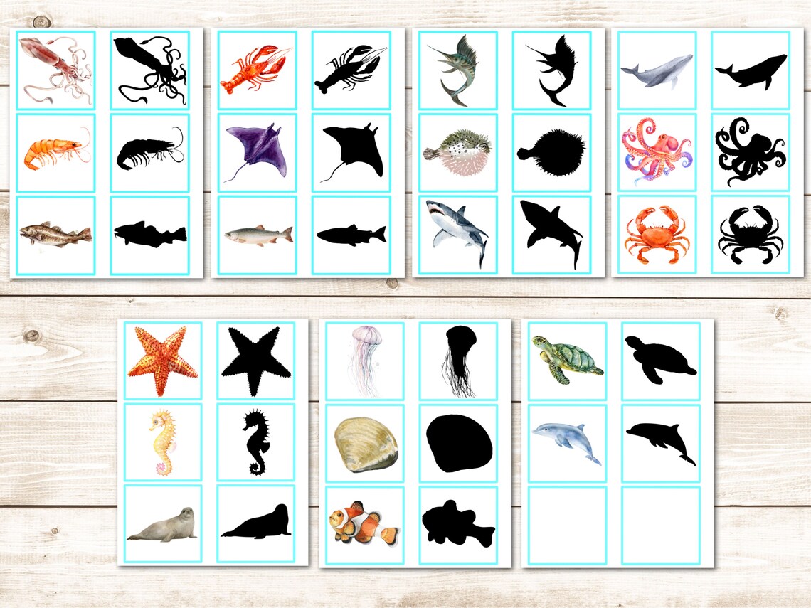 Ocean Animals Shadow Matching Cards. Montessori Toddler Printable ...