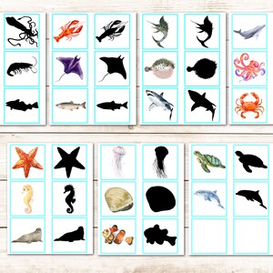 Ocean Animals Shadow Matching Cards. Montessori Toddler Printable ...