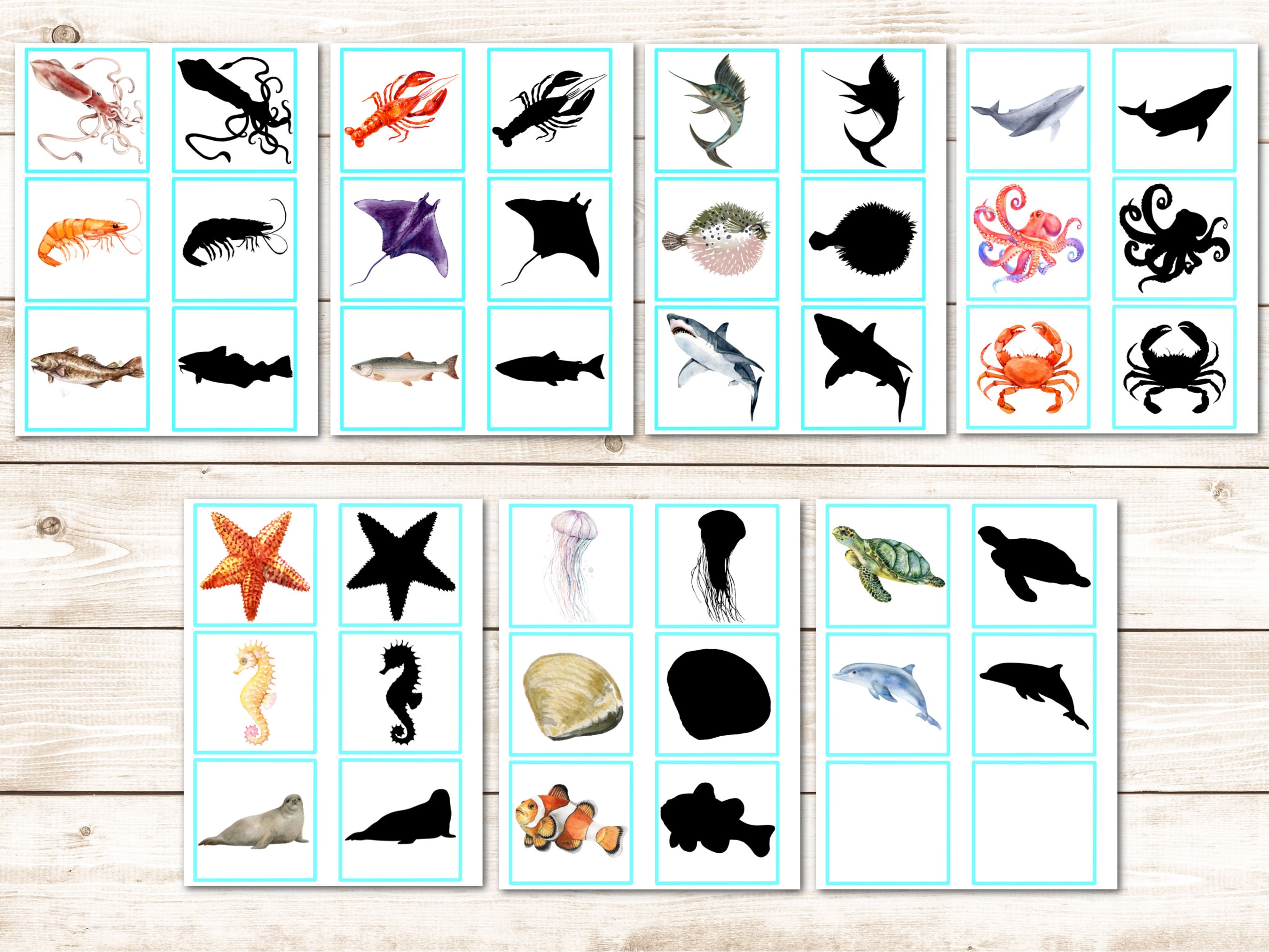 Ocean Animals Shadow Matching Cards. Montessori Toddler Printable ...