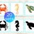 Insects Bugs Shadow Matching Cards. Montessori Toddler Printable ...