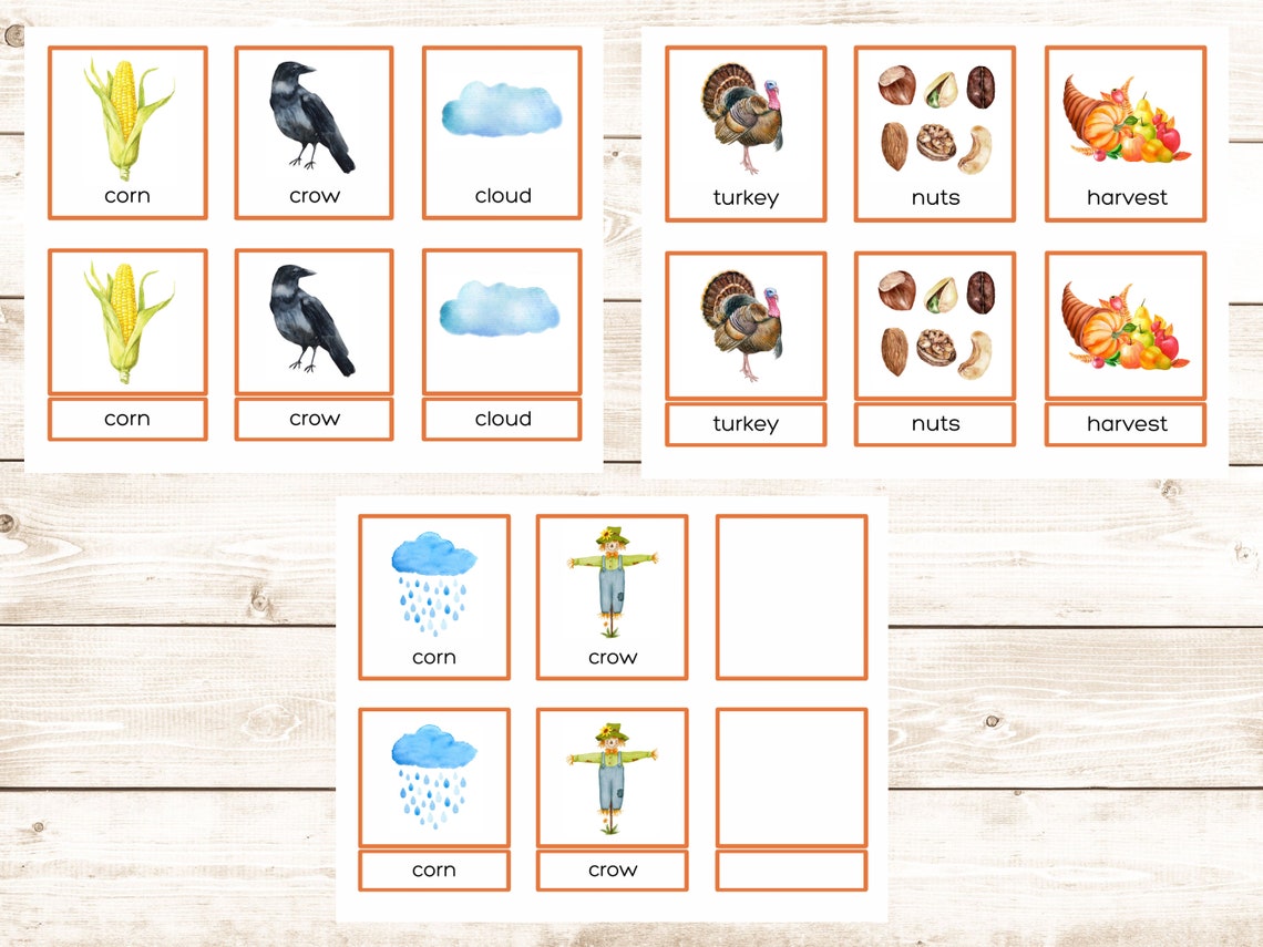 Fall Montessori Printable Vocabulary 3 Part Cards. Nomenclature Cards ...
